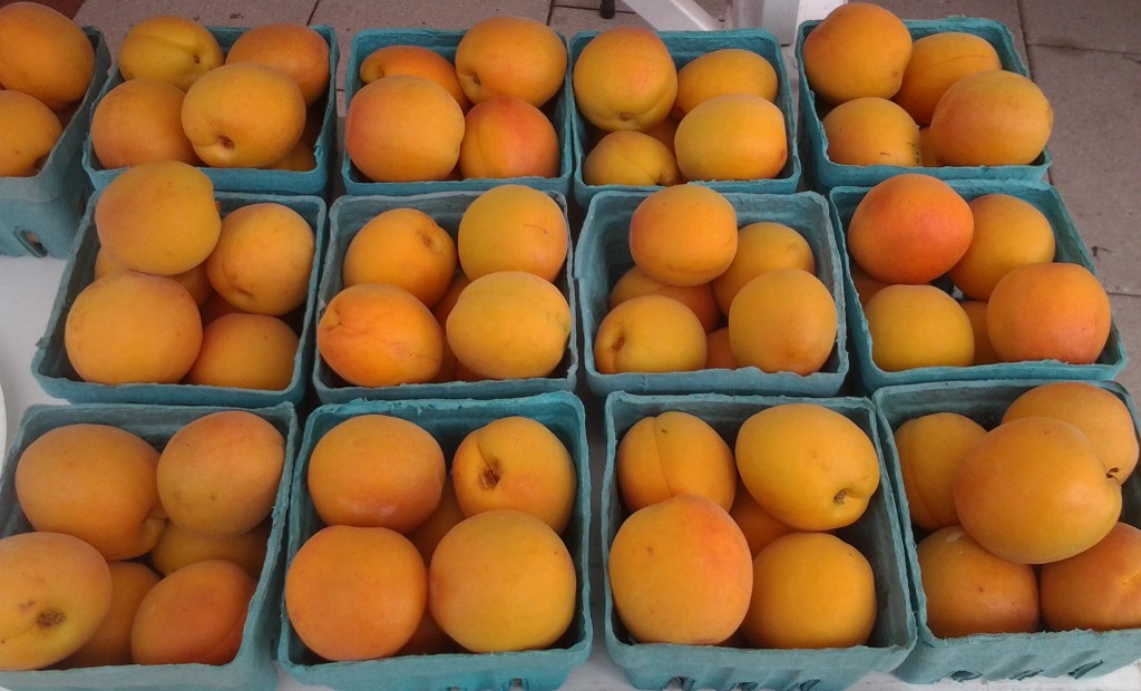 Fruit - Kuhn Orchards